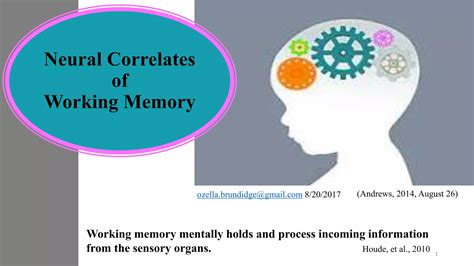 Neural Correlates Of Working Memory Pptx