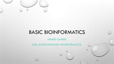 Sequence Motifs Bioinformatics Pptx Ppt