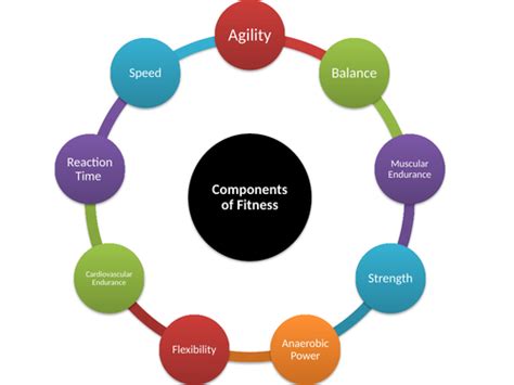 Aqa Gcse Pe Components Of Fitness Testing And Data Question