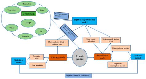 Forests Free Full Text Net Primary Productivity Of Forest Ecosystems In The Southwest Karst