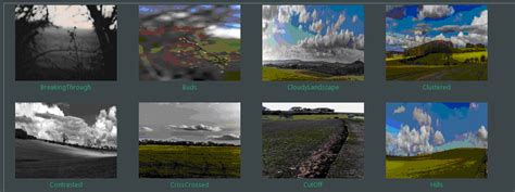 Image Listview Sizing Stack Overflow