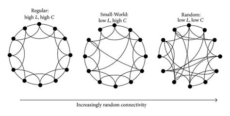 Classification Of Networks According To Connectivity Download Scientific Diagram