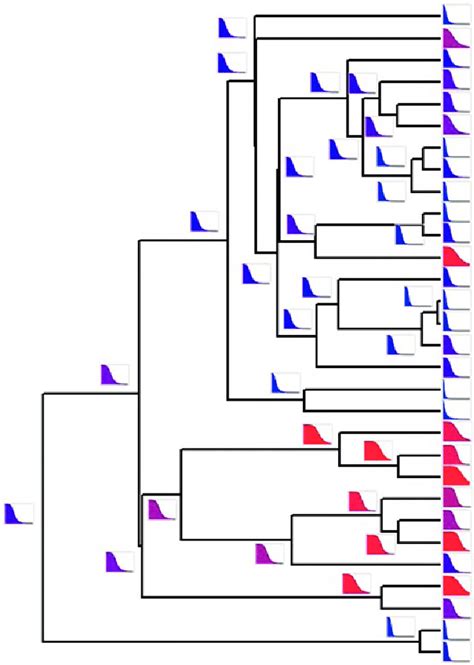 Ancestral Curve Reconstruction Of A Simulated Data Set For A Download Scientific Diagram