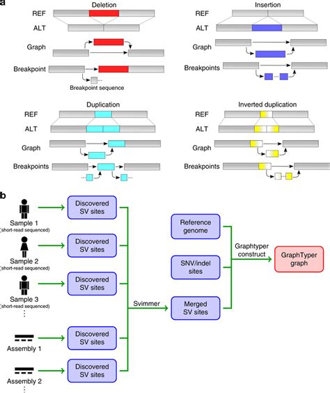 Overview Of Data Structure And Workflow A Example Structural Variants Download Scientific