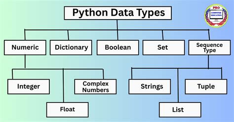Introduction To Python Programming Pro Computer Education