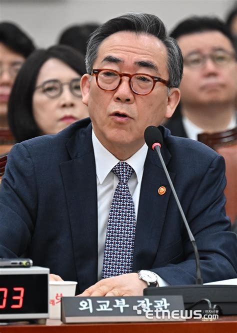 답변하는 조태열 장관 전자신문