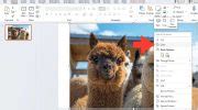 How To Easily Blur Images In PowerPoint MyExcelOnline