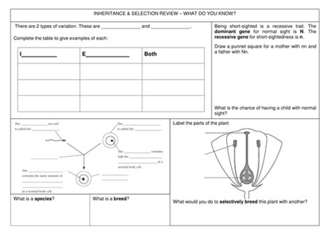 9a inheritance and selection review teaching resources