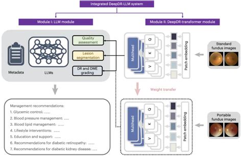 上海交大团队与合作者构建全球首个糖尿病多模态大模型deepdr Llm 交大智慧 上海交通大学新闻学术网