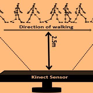 PDF Human Gait Identification Using Kinect Sensor