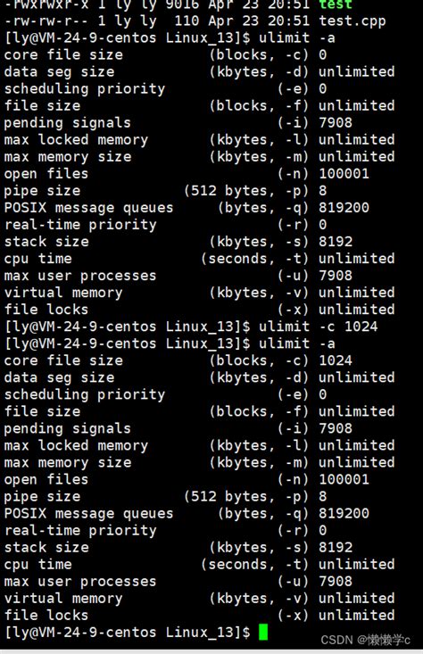 Linux的学习之路：19、进程信号（1） Csdn博客