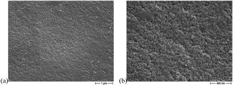 fe sem micrographs of the sio2 ay matrices a 20k× b 60k× download scientific diagram