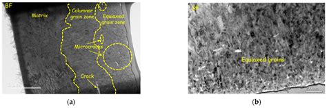 Metals Free Full Text Effect Of Reprocessing On Microstructure And Corrosion Resistance Of