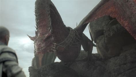 Who Are House Of The Dragons 17 Dragons