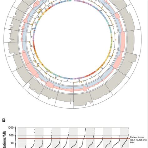 A Circular Genome Plot Moving Inward From The Outside Download