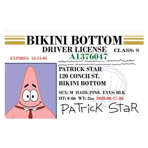 I Tested The Bikini Bottom Driver License Here S What You Need To Know
