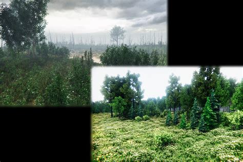 Environmentvegetation Bundle 4 3d Vegetation Unity Asset Store
