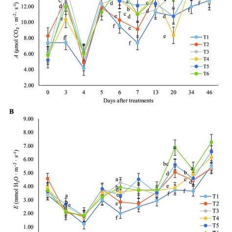 Net Photosynthesis A A And Leaf Transpiration E B Of Palmer