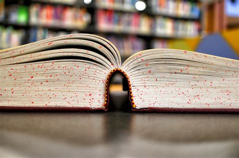 Places To Find Totally Free Books