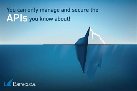 Barracuda Networks Api Discovery Kappa Data