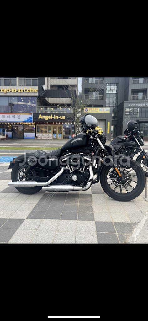 할리데이비슨 아이언883 Abs 바버커스텀 팝니다 125cc 초과 중고나라