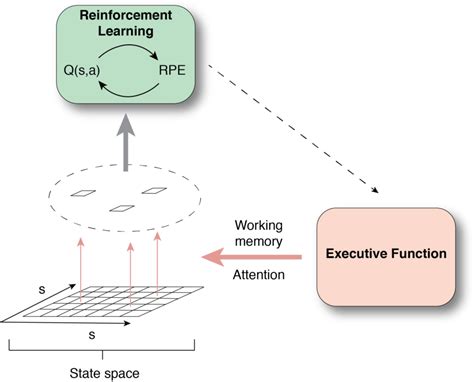Figure 2 From The Role Of Executive Function In Shaping Reinforcement Learning Semantic Scholar