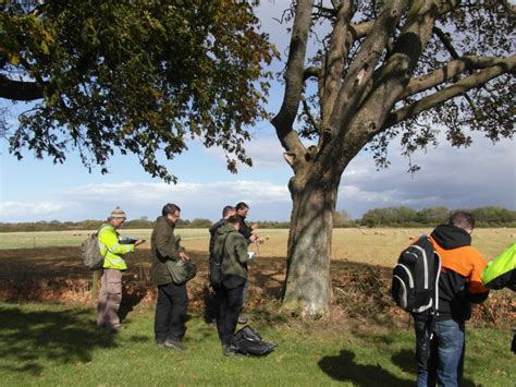 Courses Informed Tree Services Ltd Tree Surgery Consultancy