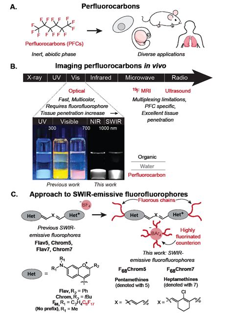 Perfluorocarbons And Methods To Visualize Them A Perfluorocarbons And