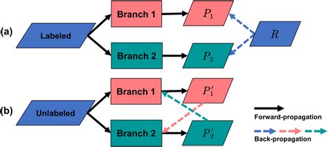 Cross Pseudo Regression Strategy A The Supervised Step B The Download Scientific Diagram