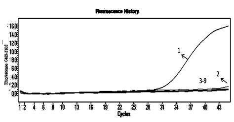 Detection Primer And Probe For Identifying Variant Pedv And Variant Tgev Eureka Patsnap