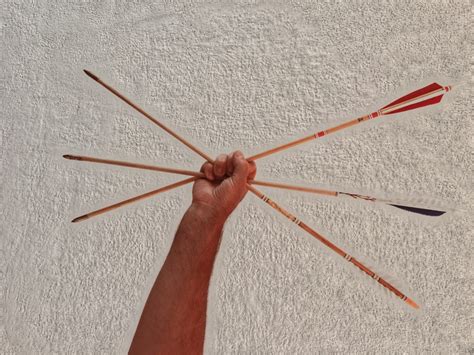 Cada Fletxa Fato Del Temps