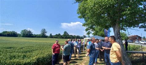 У Кладарима одржани „Дани поља стрних жита“ Ресор за пружање стручних услуга у пољопривреди