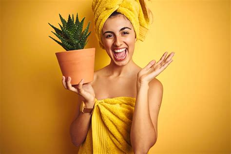 노란 고립 된 배경 위에 알로에 베라 냄비를 들고 수건을 입고 젊은 아름다운 여자는 매우 행복하고 흥분 큰 미소와 손을 제기 승리 비명을 축하 우승자 표정 가정의 방에 대한