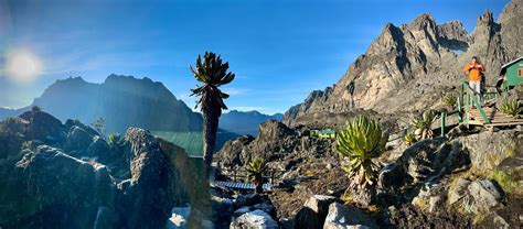 მაღალმთიან აჭარაში მცხოვრები ქალების ფოტო პორტრეტები N I M D მედეა ბასილაძე პედაგოგი 46
