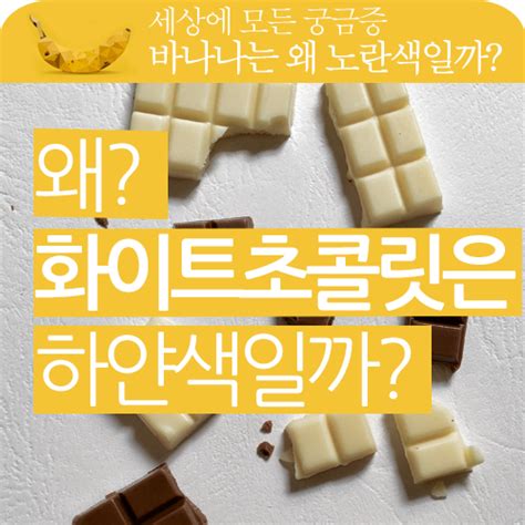 화이트 초콜릿은 어떻게 하얀색일까 네이버 블로그