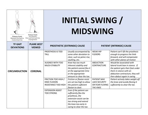 8c Gait Deviation Chart Prosthetics And Orthotics Pdf