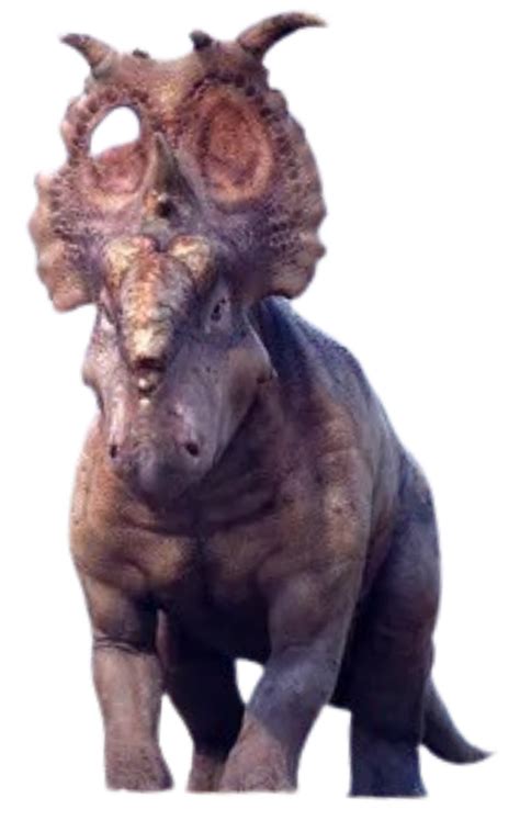 Patchi By Dracoawesomeness On Deviantart Patchi By Dracoawesomeness On Deviantart