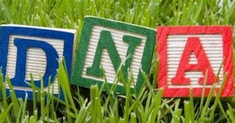 Couple Who Donated Frozen Embryos 20 Years Ago Meets Biological Teen Triplets Worldnetdaily