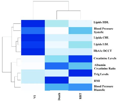 Heatmap Of Correlation Of Patient Marker Variables On Y Axis With Download Scientific Diagram