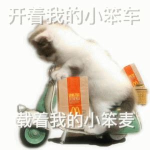 开看我的小举车 载着我的动小笨麦 麦当劳约饭表情包 开着我的小笨车 载着我的小笨麦可爱猫咪骑车载麦旋风超萌表情包图片gif动图 求表情网 斗图从此不求人