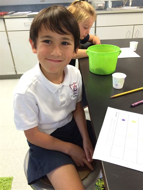 1st Grade STS SCIENCE Lab