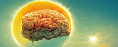 Memory Hacks To Improve Your Brain And Up Intelligence