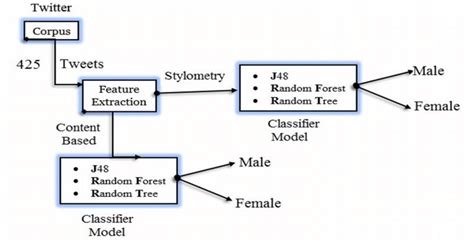 Representation Of Gender Identification Model Download Scientific Diagram