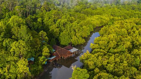Kalimantan Travel Guide Indo Buddies