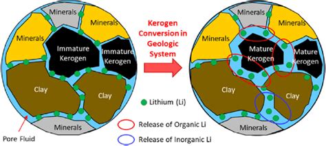 A Conceptual Diagram Of Kerogen Bearing Formation In Pore Scale That
