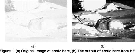 figure 1 from contrast image enhancement using multi histogram equalization semantic scholar