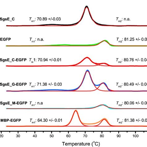 Differential Scanning Calorimetry Measurements Download Scientific Diagram