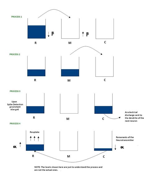 5diagrammatic Representation Of The 3 Reservoir Model In Order To Download Scientific Diagram