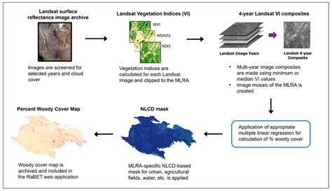 workflow for generation of rabet woody canopy cover maps download