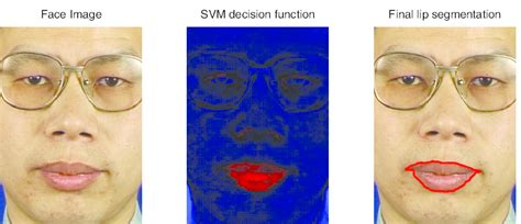 Svm Decision Function Map Download Scientific Diagram